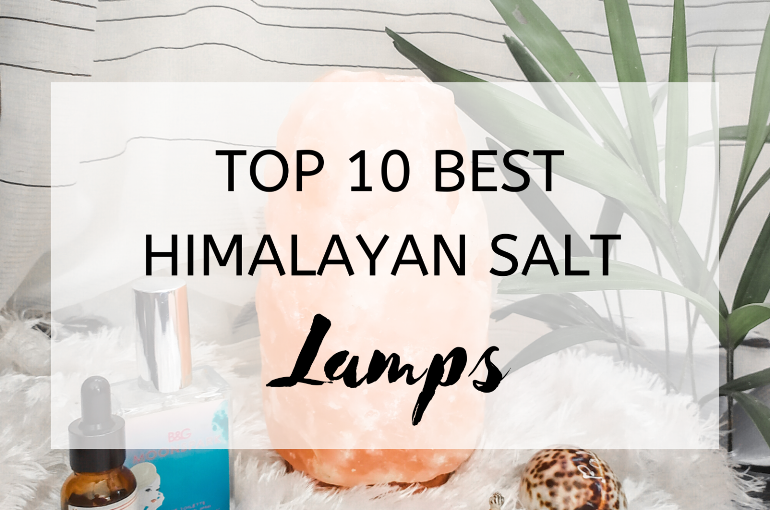 Top 10 Best Himalayan Salt Lamps 2025